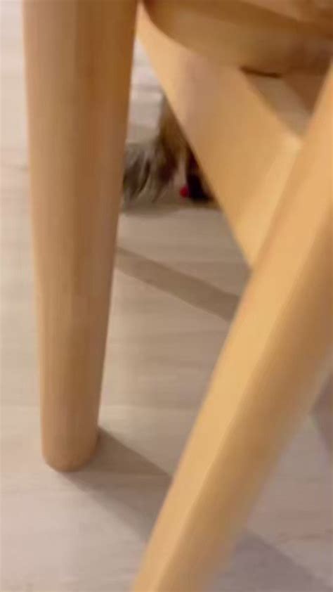ˀළˁ on Twitter RT Bonusiie คอเราอะซอของขวญปใหมมา