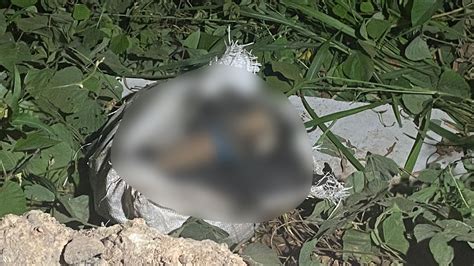 Corpo Esquartejado Encontrado Pr Ximo A Lix O Na Am