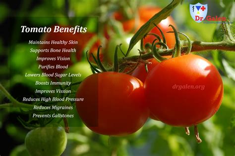 Health Benefits Of Tomato Health Benefits Of Tomatoes Tomato