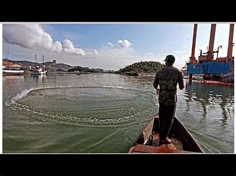 Essa pescaria só gerou as brutas até arraia peguei de tarrafa YouTube