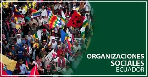 Movimientos Sociales Y Organizaciones Del Ecuador Lista 2024 Elyex