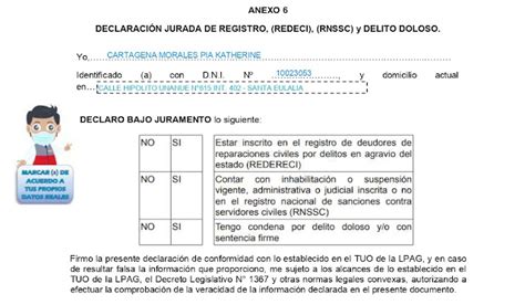 Ejemplo Del Llenado De Los Anexos Para El Contrato Docente