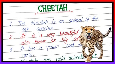 Lines On Cheetah In English Essay On Cheetah In English Cheetah