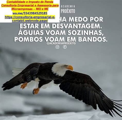 Comprovante de Renda o Que é Tipos e Quais São Aceitos PontoNet