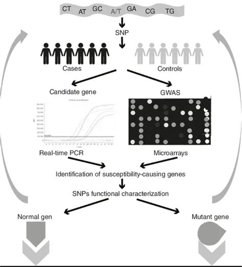 Difference Between Candidate Gene And Gwas Relationship Between