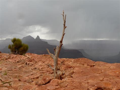 Fotos gratis paisaje árbol naturaleza rock desierto montaña