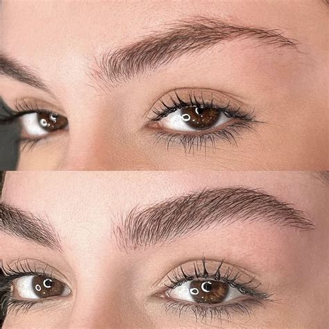 Eyelash and eye brows laminate 流行に トライアルセットサンプル