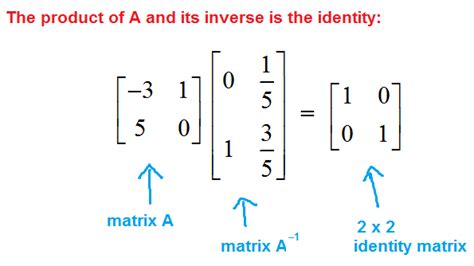 linear algebra mathbootcamps
