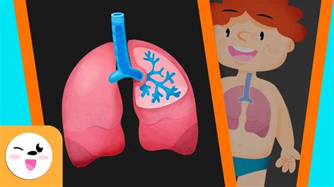 El sistema respiratorio del cuerpo humano para niños Smile and Learn