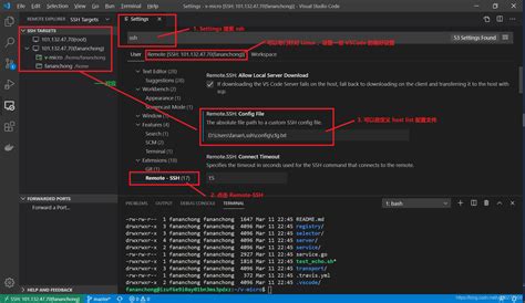vscode 远程 linux 的 golang 开发环境搭建（备忘） win vscode 远程编译linux go语言 csdn博客