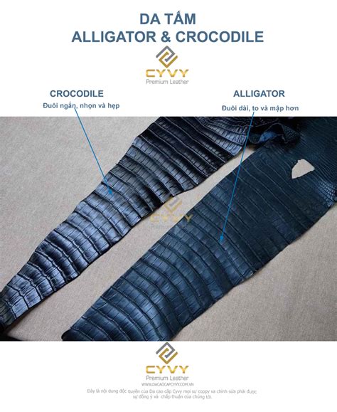 Hướng dẫn cách phân biệt da cá sấu làm từ Crocodile và Alligator