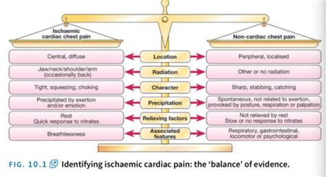 Chest Pain All Causes Flashcards Quizlet