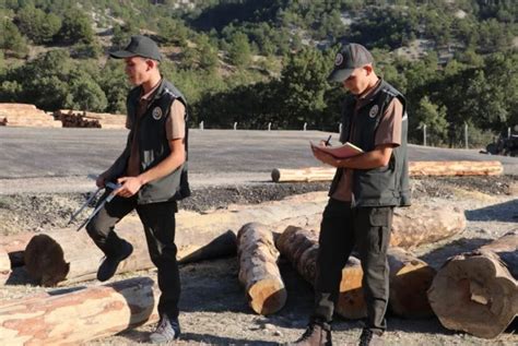Orman Muhafaza Memuru Maaşı 2024 Güncel Maaş Bilgisi Para Katla