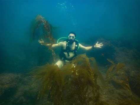 My 100th Dive Aka Naked Dive At Shaw S Cove First Church Of The
