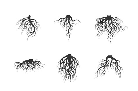 Tree Silhouette Roots Vector