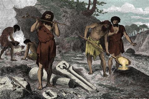 7 Fosil Manusia Purba Di Indonesia Dan Lokasi Penemuan