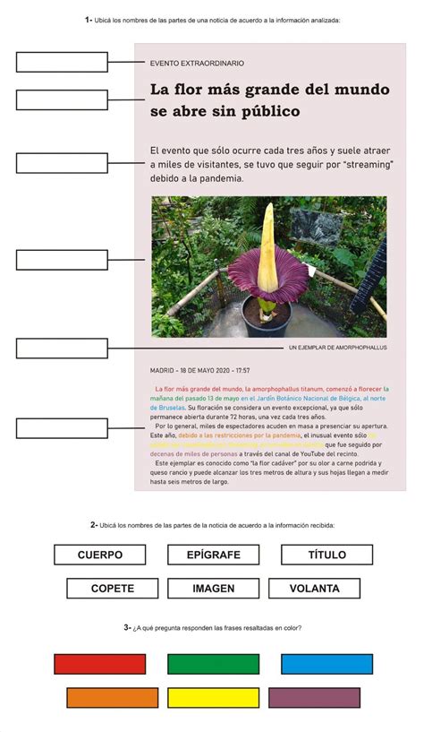 Ejercicio De Las Partes De La Noticia Artofit