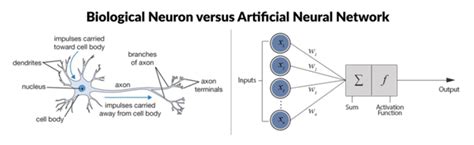 bio inspired computing primo ai