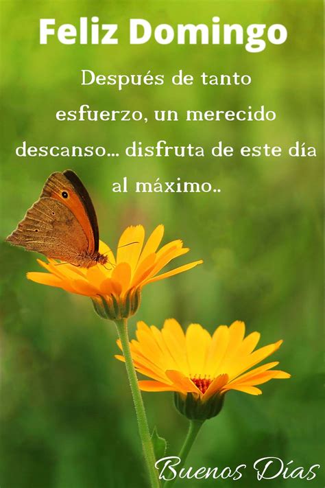 Feliz domingo buenos dias Imágenes Buenos Días