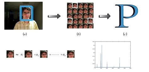 visual tracking via sparse and local linear coding irc