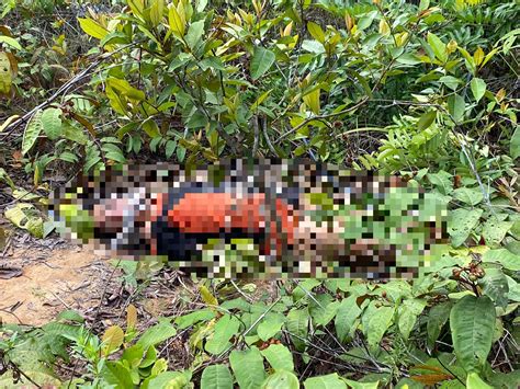 Mulher é encontrada morta em área de mata em Manaus