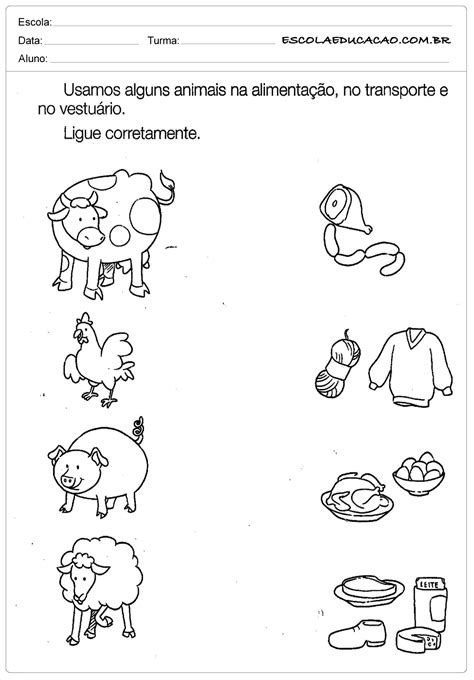 Atividade de Ciências para Educação Infantil Ligue Corretamente