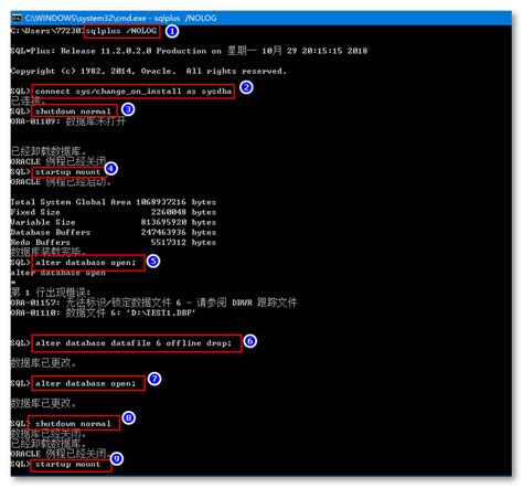 Oracle Ora 01033 Oracle Initialization Or Shutdown In Progress 解决方法与实际过程 Csdn博客