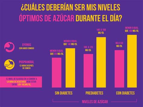 Cu Les Deber An Ser Los Niveles Ptimos De Az Car Durante El D A