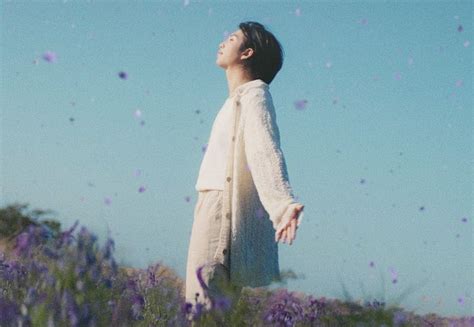El vídeo musical de RM de BTS Wild Flower with Youjeen alcanza los