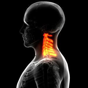 Neck Pain And Its Treatment At Glebe Physio Glebe Physio