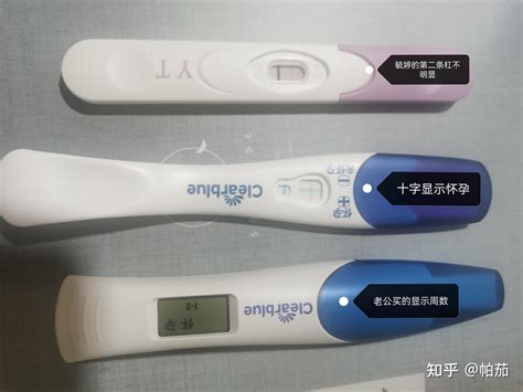 孕期笔记 怀孕19天 知乎