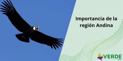 Importancia de la región Andina Colombia Verde