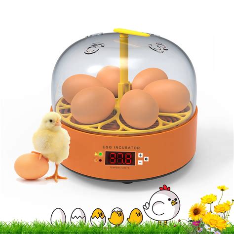 The Best Egg Incubator How To Choose And Use It Properly