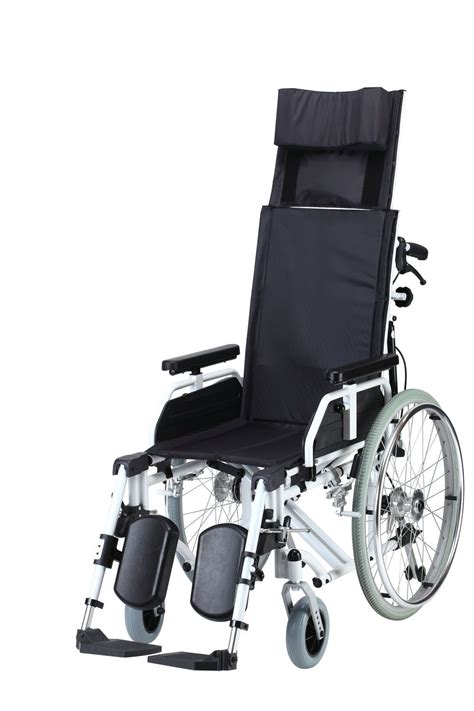 Health Management And Leadership Portal Passive Wheelchair