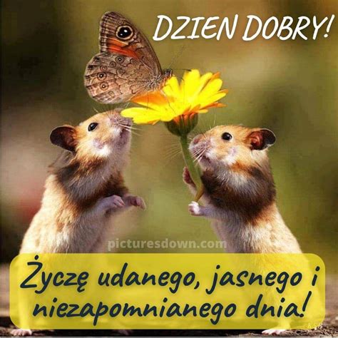 Kartka na dzień dobry życzę myszy picturesdown