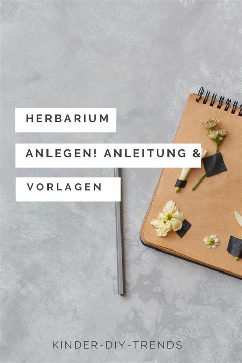 Herbarium anlegen und gestalten Mit Vorlagen Schritt für Schritt