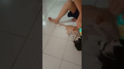 Aku Dan Sahabatku Youtube