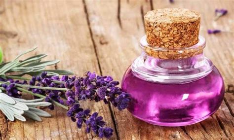 Aceite Esencial De Lavanda Descubre Sus Usos Y Beneficios