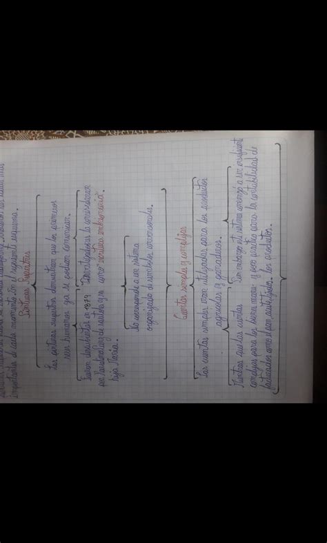 En Parejas Elaboramos Un Esquema Que Registre El Desarrollo De La