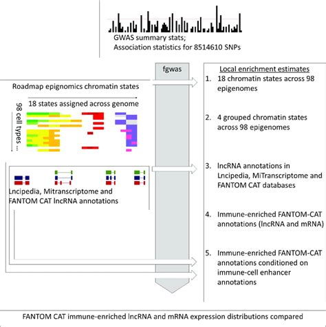 visual interpretation of analysis pipeline gwas summary stats were download scientific diagram