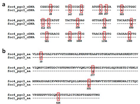 Pairwise Sequence Alignment Of The Nucleotide Sequences Open Reading