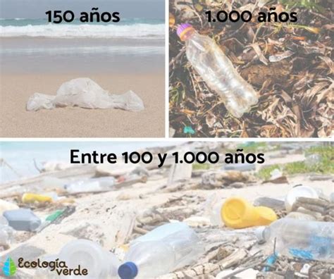 Descubriendo cuánto tiempo lleva descomponer el plástico Ser Ecológico