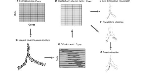 overview of dtflow algorithm a pre process a single cell dataset into download scientific