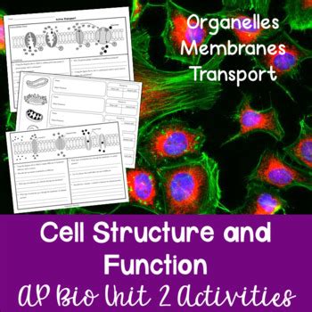 Ap Biology Unit Cell Structure And Function Activities Packet