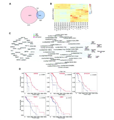 Identification Of Differentially Expressed RBPs Co Disturbed With