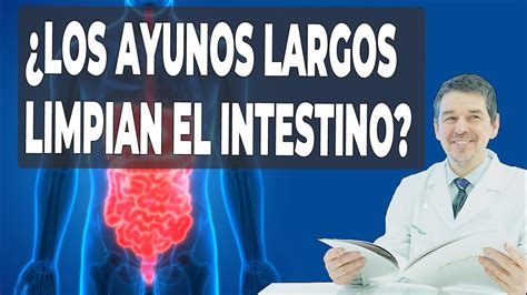 Cuidado Si Crees Que AYUNAR Limpia El Intestino ESTAS EQUIVOCADO YouTube