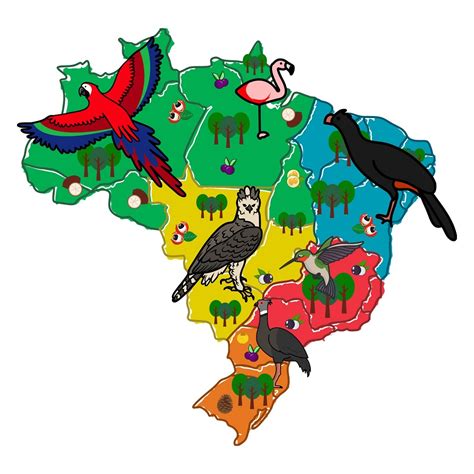 Top 10 cantos de pássaros mais bonitos do mundo