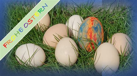 Frohe Ostern Hpr Werbeconcept