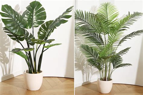 23 Best Fake Plants From Amazon Walmart And The Sill