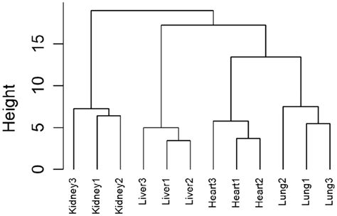 hierarchical cluster analysis hca dendrogram based on the euclidian download scientific